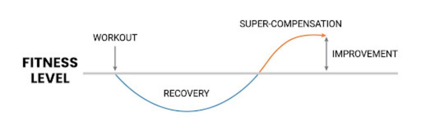 10 Years of Heart Rate Training For Runners: My Experience